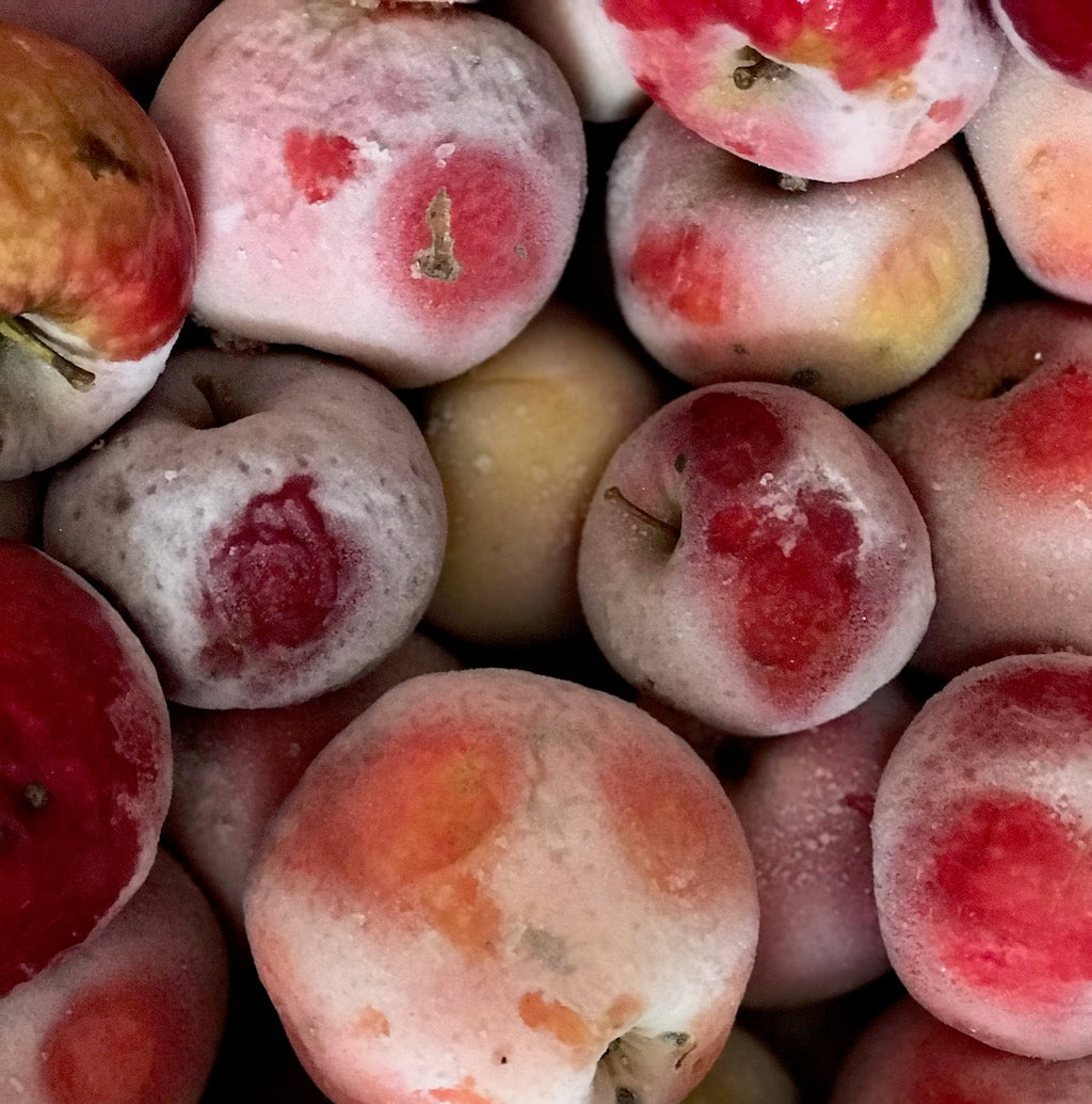 Adventures in cryoextraction – Windswept Orchard Cider